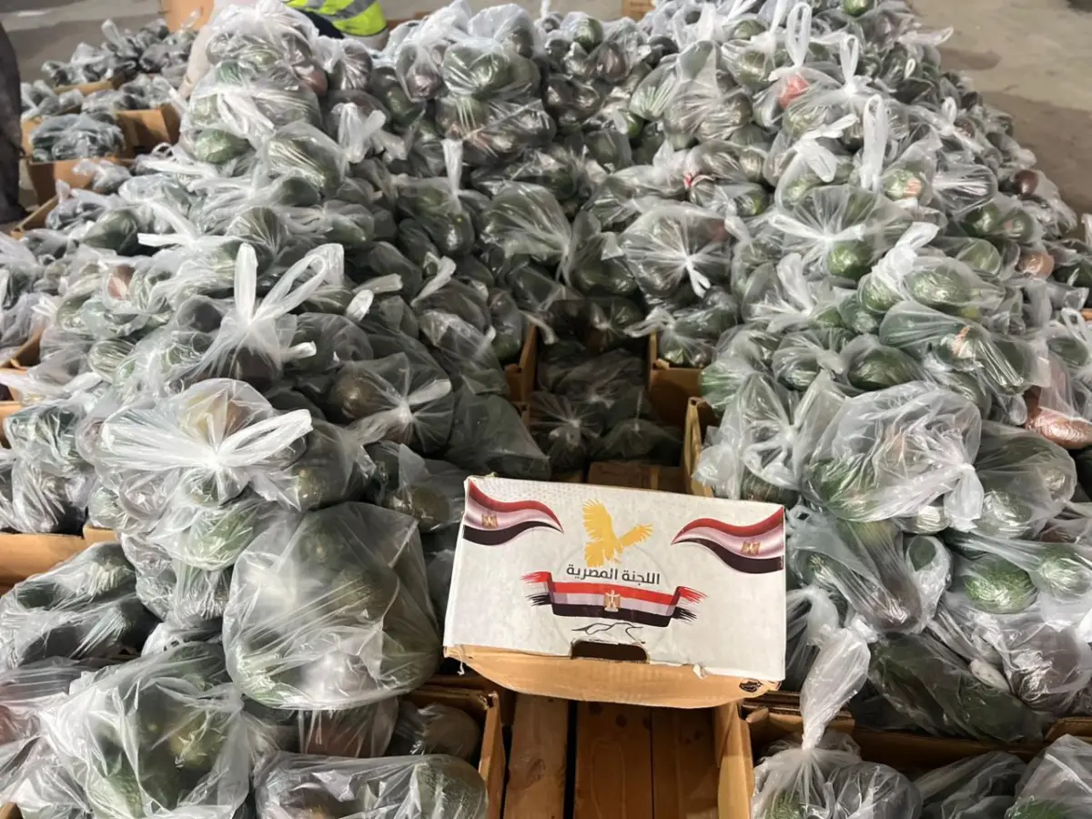 Egyption Committee - The Egyptian Committee, in Cooperation with World ...